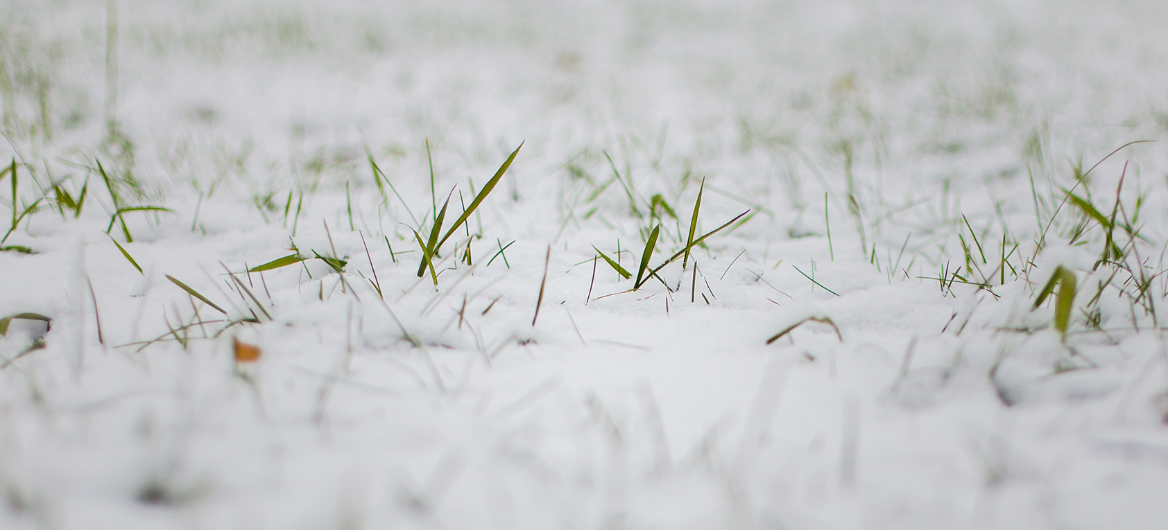 How to Properly Winterize Your Sprinkler System | Arizona Outdoor Solutions